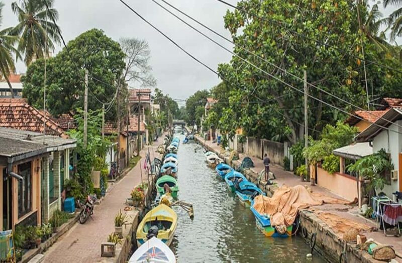 Kandy to Negombo: Sigiriya & Dambulla Day Trip - What to Expect