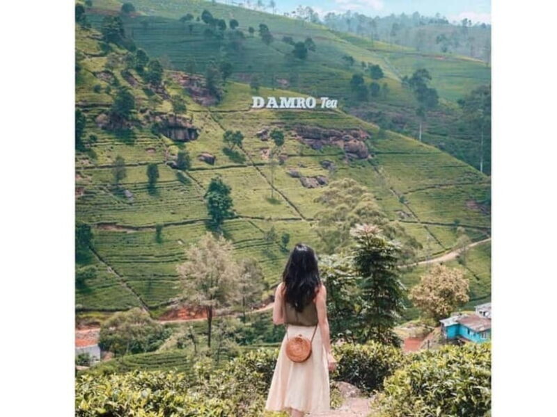 Kandy to Nuwara Eliya Day Tour - Things to Keep in Mind