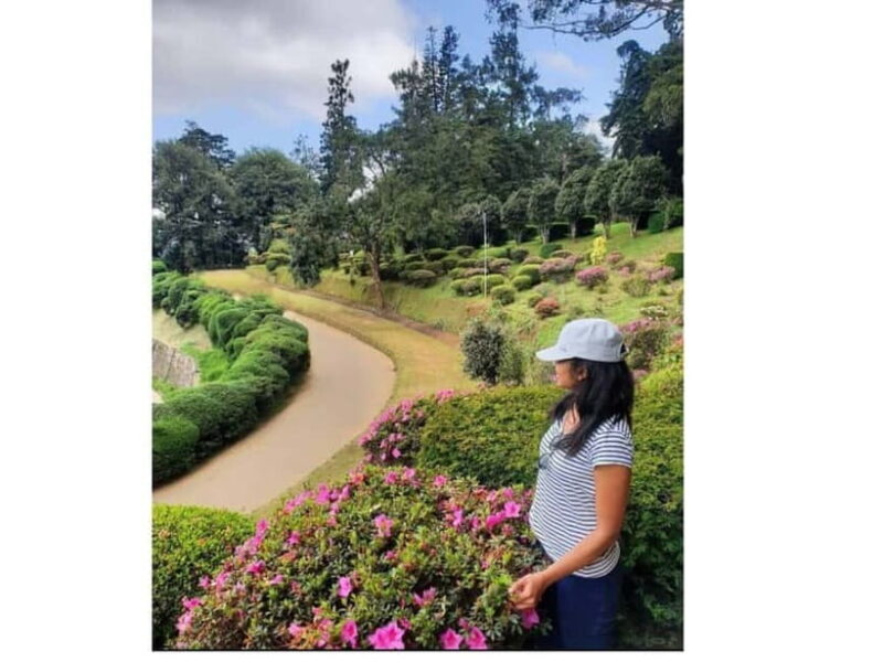 Kandy to Nuwara Eliya Day Tour - Who Will Love This Tour?