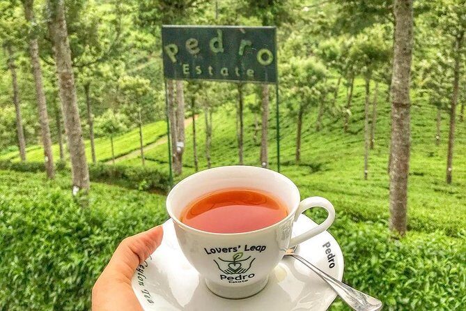 Kandy to Nuwara Eliya Day Tour - Key Points