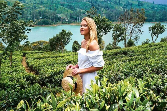 Kandy to Nuwara Eliya Day Tour - Final Thoughts: Who Will Love This Tour