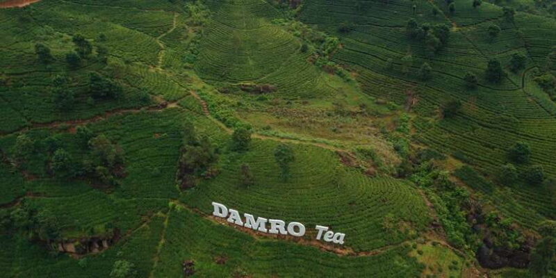 Kandy To Nuwara Eliya Drop Tour - Sri Lanka - Practical Considerations