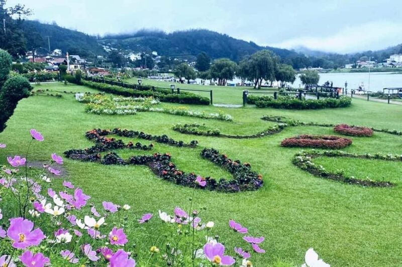 Kandy to Nuwara Eliya Guided Day Tour by Local - An In-Depth Look at the Tour Experience