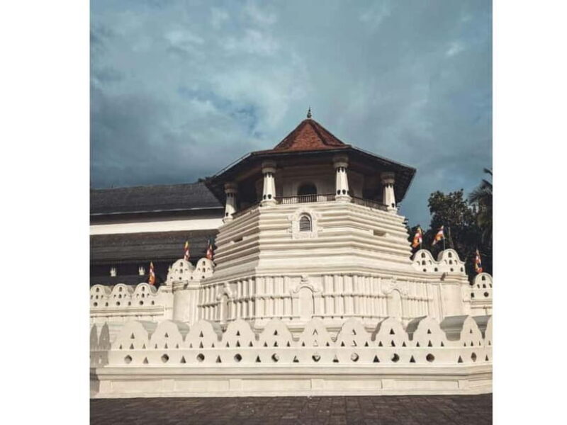 Kandy to Pinnawala Guided Day Tours by Local - Key Points