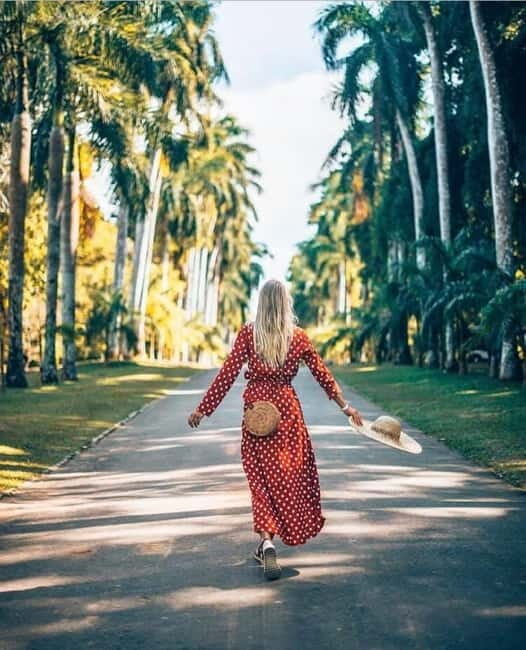 Kandy to Pinnawala Guided Day Tours by Local - What’s Included and What to Budget For