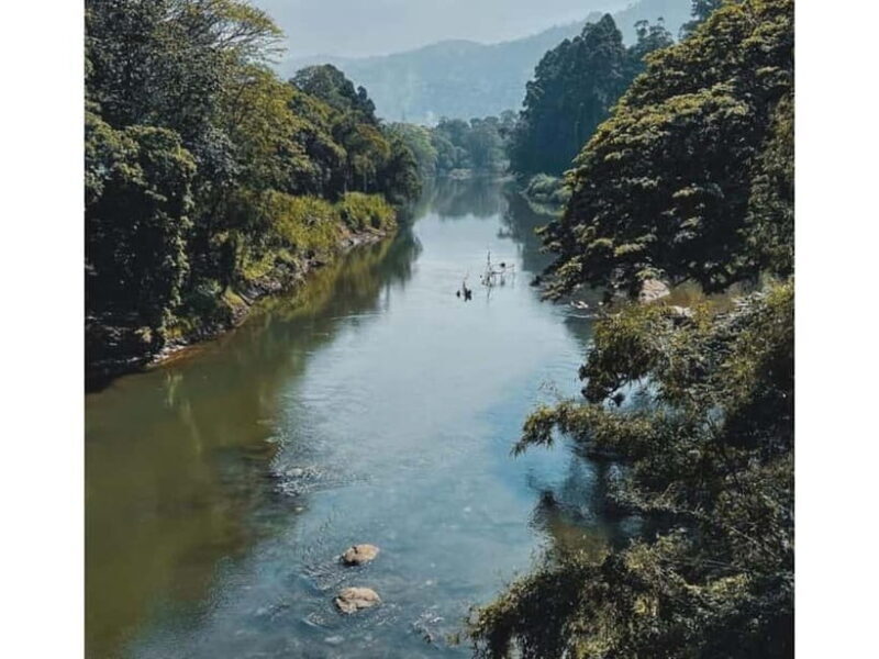 Kandy to Pinnawala Guided Day Tours by Local - Who Will Love This Tour?