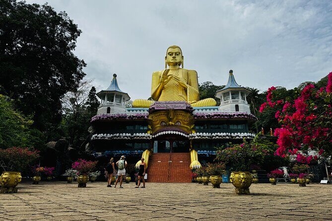 Kandy to Sigiriya Dambulla and Safari Private Day Tour - Authenticity and Experience