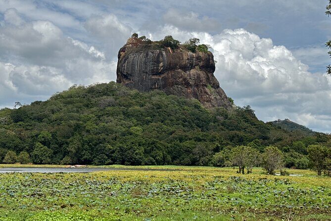 Kandy to Sigiriya Dambulla and Safari Private Day Tour - Who is This Tour Best For?