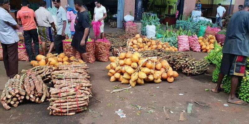 Kandy to Sigiriya-Dambulla Day trip - Experiencing Sri Lankan Village Life
