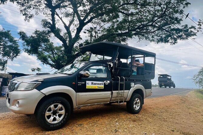 Kandy to Sigiriya Dambulla & Wildlife with Ranweli Tours (group) - Who Should Consider This Tour?