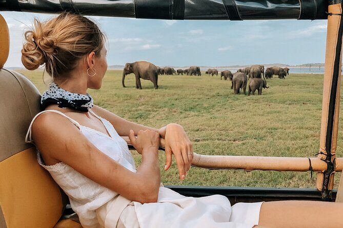 Kandy to Trincomalee Shuttle & Safari Drive - Exploring the Experience: A Deep Dive into the Day