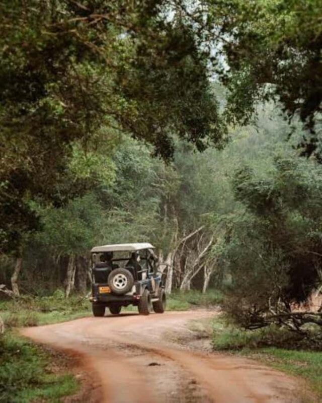 Kandy to Wilpattu Day Tour - Visiting Famous Places - An Introduction to the Tour