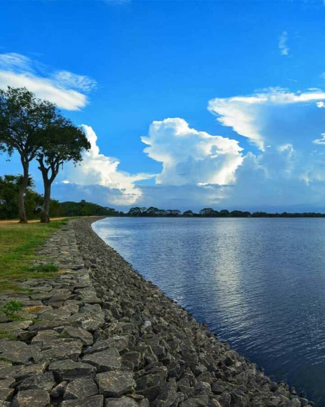 Kandy to Wilpattu Day Tour - Visiting Famous Places - Visiting Anuradhapura: Ancient Shrines and Heritage