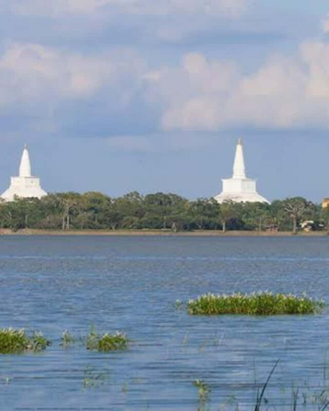 Kandy to Wilpattu Day Tour - Visiting Famous Places - Final Stops and Return to Kandy