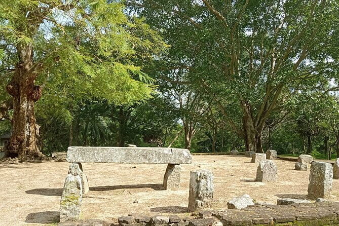Kandy to Yapahuwa and Namal Uyana Day Tour - Introduction
