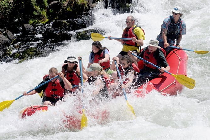 Kandy to Yapahuwa and Namal Uyana Day Tour - Who Will Love This Tour?