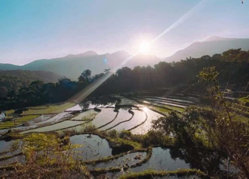 Kandy: Traditional Village Tour with Authentic Experience - Exploring the Heart of Heeloya: A Day in the Village