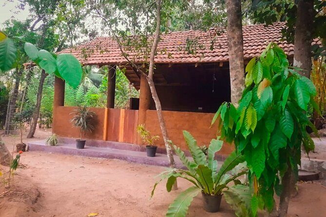 Kandy Village Cooking Class - Key Points