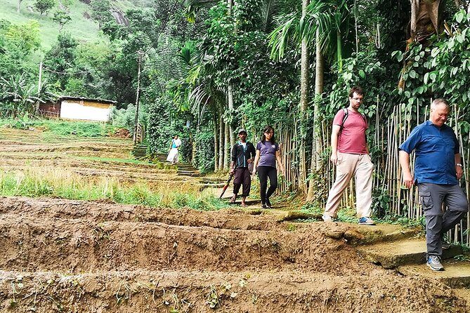 Kandy Village Walk with a Local - An Authentic Doorway into Sri Lankan Village Life
