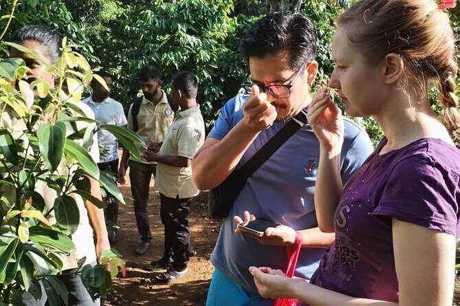 Kandy Yahalatenna Walking Coffee Class Activity - What Travelers Should Keep in Mind