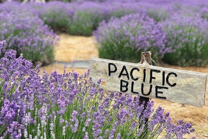 Kangaroo Island 3 Day All Inclusive Tour - Authentic Experiences and Local Flavors