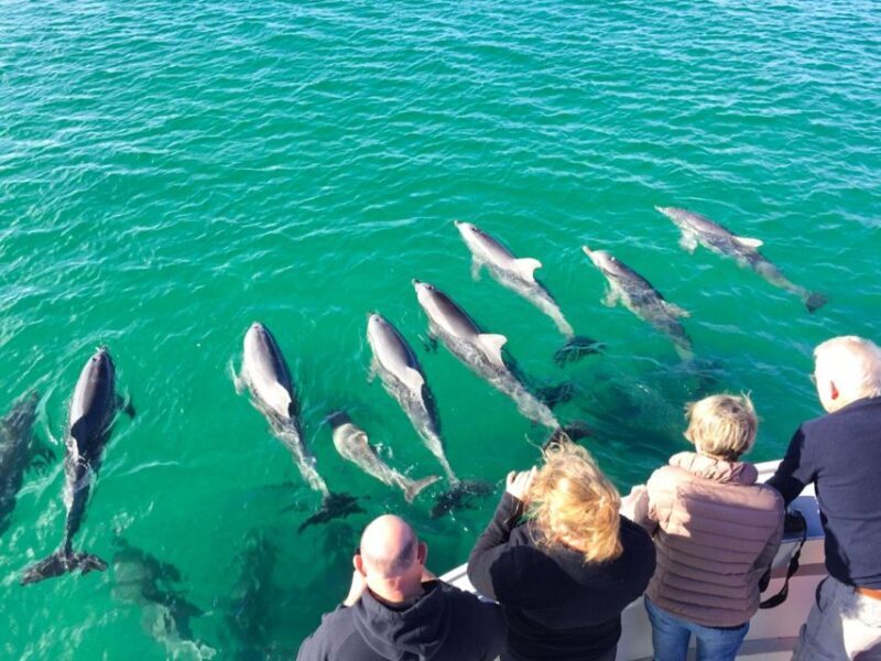 Kangaroo Island: 75-Minute Coastal Safari - Key Points: