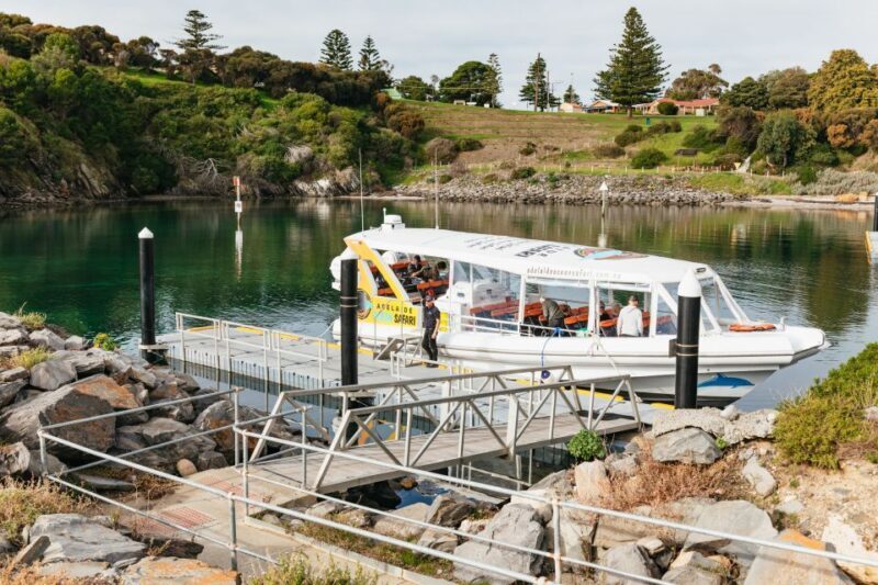 Kangaroo Island: 75-Minute Coastal Safari - Who Should Book This Tour?