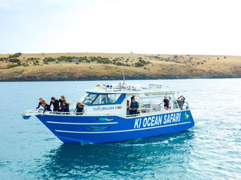 Kangaroo Island: Dolphin, Seal, and Swimming Boat Tour - Key Points: What You Need to Know Before You Go