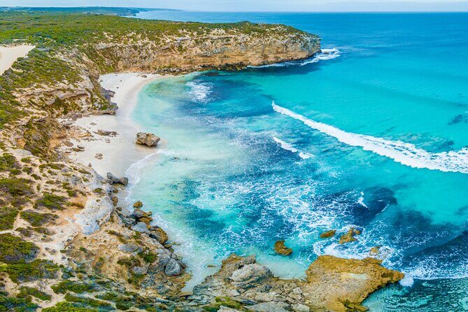 Kangaroo Island Half-Day Tour - The Sum Up