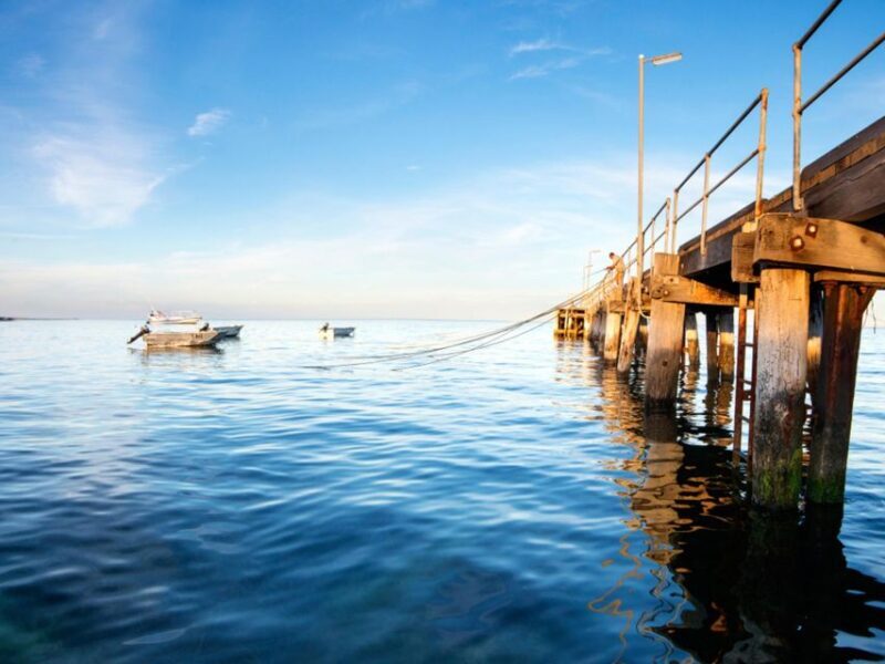 Kangaroo Island: Half-Day Tour Guided Coach Tour - FAQ