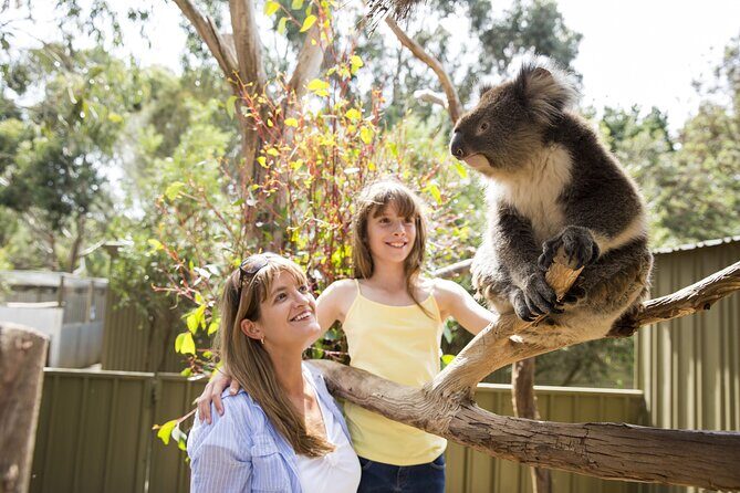 Kangaroo Island in a Day Tour from Adelaide - Lunch and Additional Sightseeing