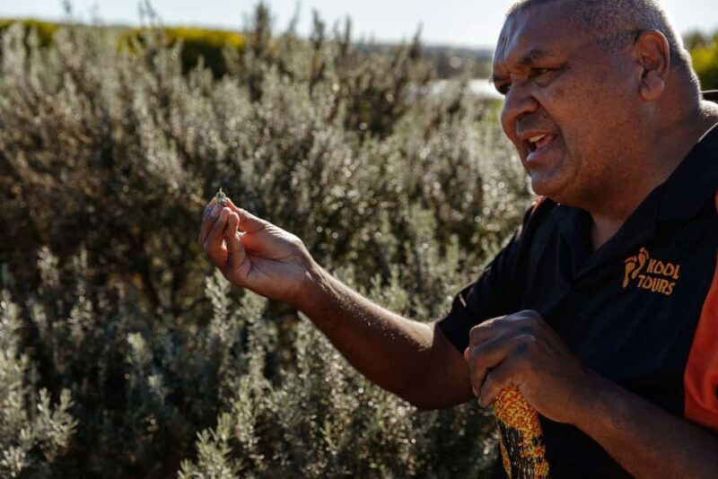Kangaroo Island: Indigenous Day Tour - A Detailed Look at the Itinerary
