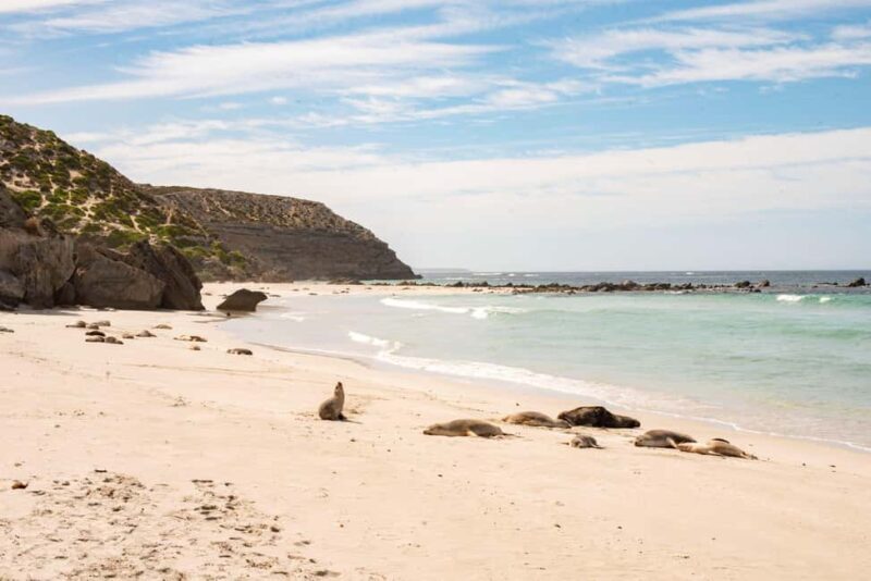 Kangaroo Island: Indigenous Day Tour - Final Thoughts