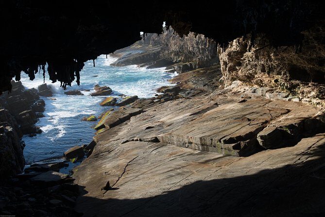 Kangaroo Island Luxury Small Group 'Flinders Chase Focus' Full Day Tour - Discover the Practicality and Charm of the Tour