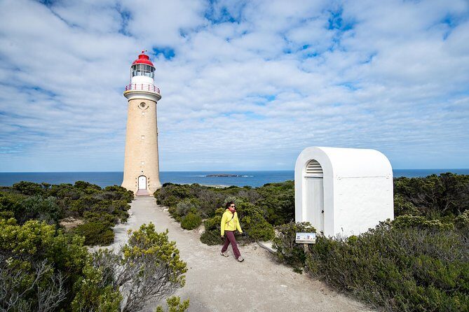 Kangaroo Island Luxury Small Group 'Flinders Chase Focus' Full Day Tour - Duration, Cost, and Value