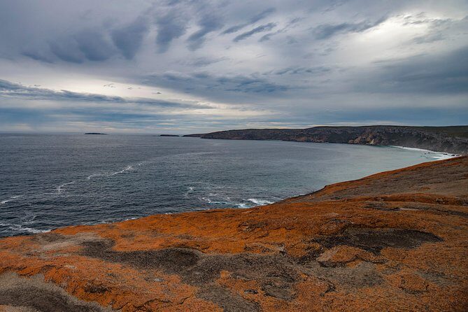 Kangaroo Island Luxury Small Group 'Flinders Chase Focus' Full Day Tour - Final Thoughts