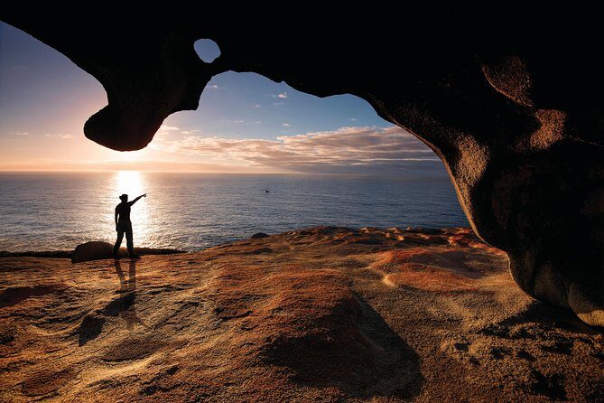 Kangaroo Island Scenic Nature and Wildlife Day Tour - An In-Depth Look at the Tour Experience