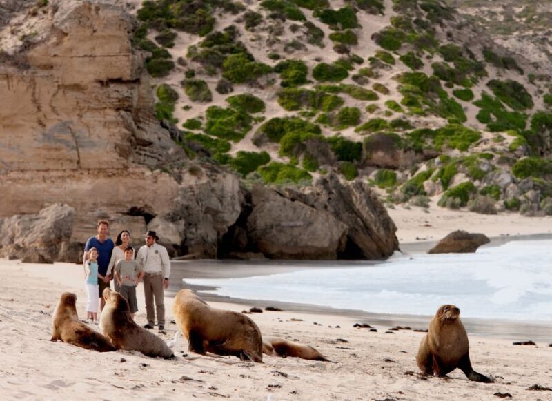 Kangaroo Island: Scenic, Nature & Wildlife Tour - What Makes This Tour Special?