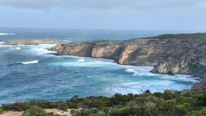 Kangaroo Island: Scenic, Nature & Wildlife Tour - Final Thoughts