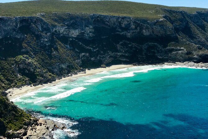 Kangaroo Island Shore Excursion Scenic Trail Tour - Authentic Experiences and Guest Perspectives