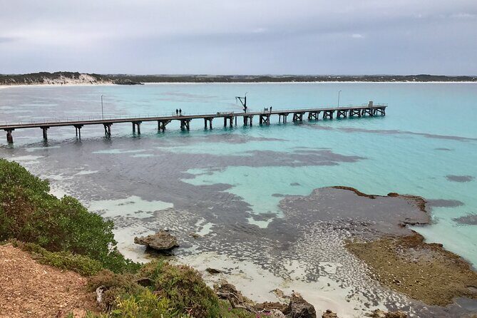 Kangaroo Island Shore Excursion Scenic Trail Tour - The Sum Up