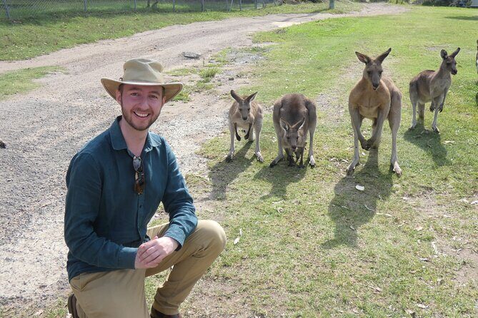 Kangaroo Wildlife Half Day Small Group Tour From Sydney - Meeting Point and Ease of Access