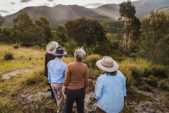 Kangaroos and Koala Experience Tour - The Value and Who It Suits