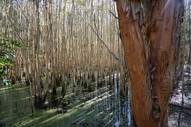 Kangaroos & Koalas in the Wild - Private Nature Experience - FAQs