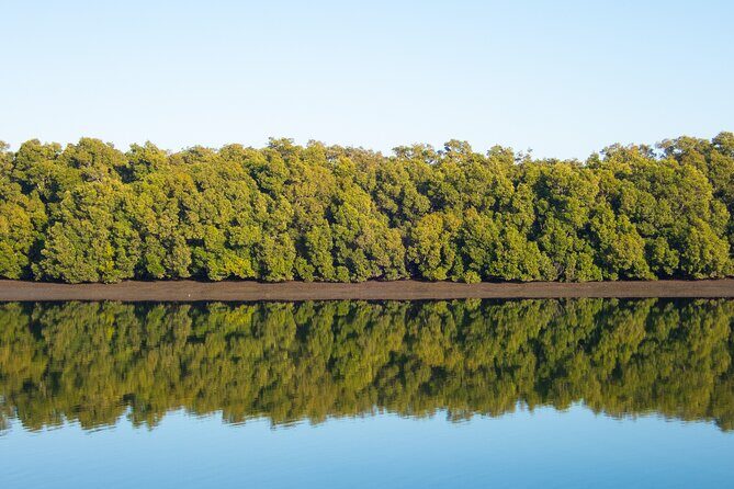 Kangaroos, mangroves and the ocean - FAQ