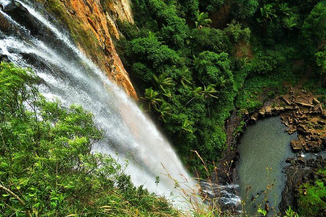 Kangaroos, Rainforest & Waterfalls Experience - Small Group - The Best of All Lookout and Scenic Vistas