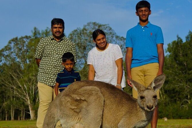 Kangaroos, Rainforest & Waterfalls Experience - Small Group - Practical Details and Tour Logistics