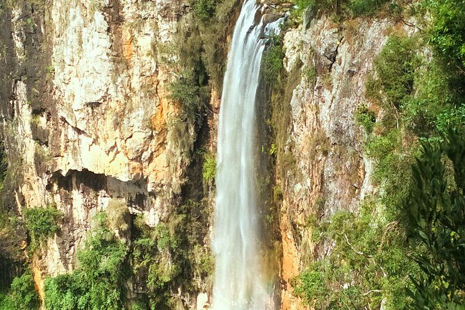 Kangaroos, Rainforest & Waterfalls Experience - Small Group - Value and Price Considerations