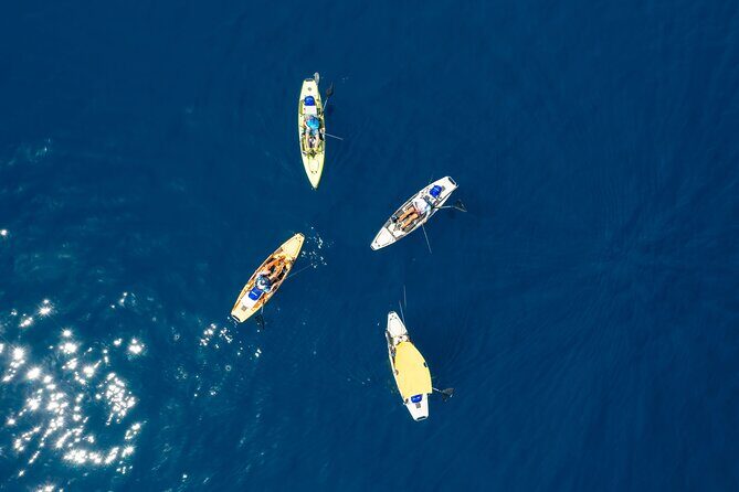 Kanjac Kayak Fishing Cavtat - Analyzing the Value and Practicalities