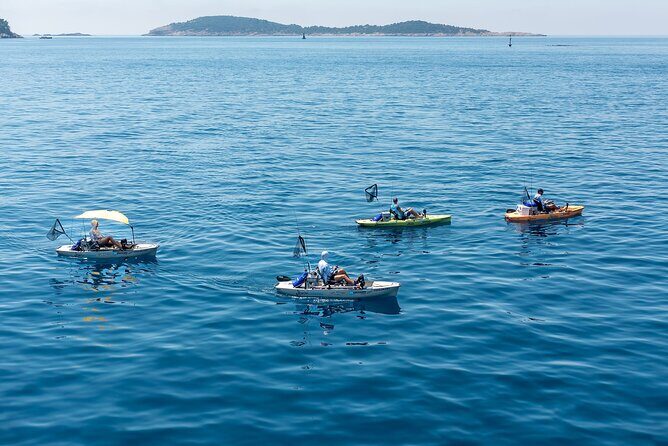 Kanjac Kayak Fishing Cavtat - The Sum Up